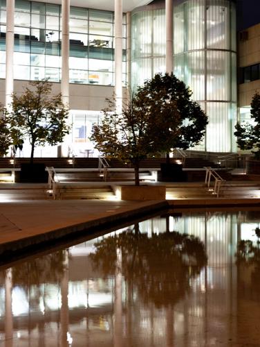 Gallery: MSU at Night | Gallery | the-standard.org