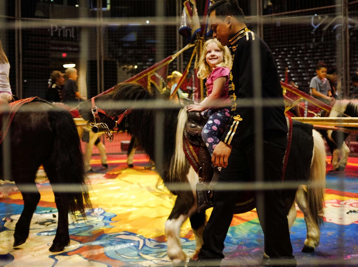 Carden International Circus at JQH Arena draws animal rights protests ...