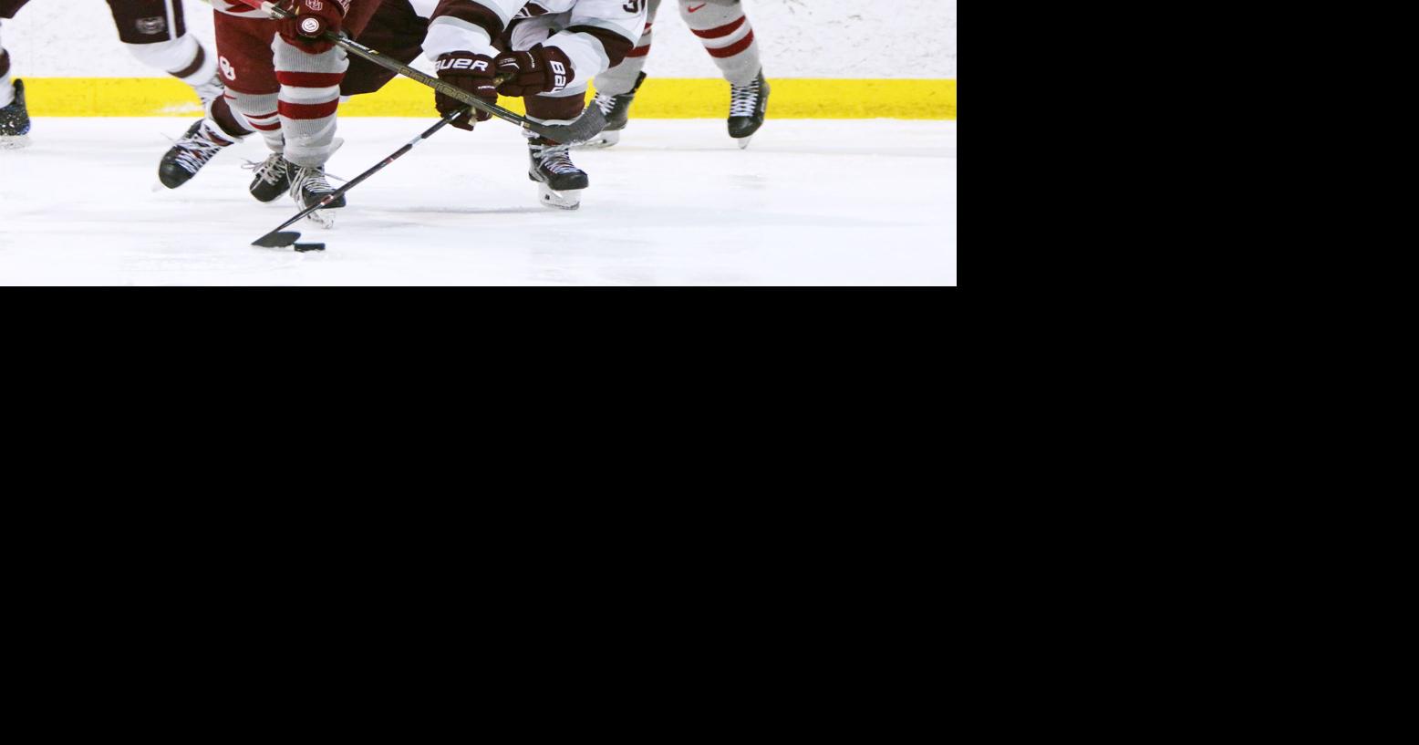 Playoffs look for MSU Ice Bears | Sports | the-standard.org