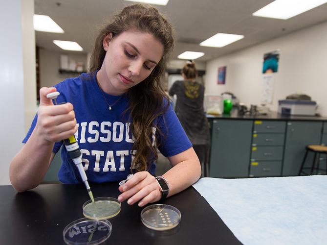 Spotlight: Addison Witt | Life | the-standard.org