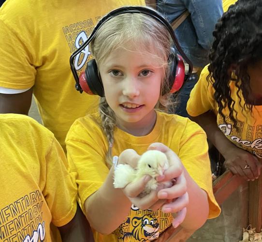 Jackson Elementary School students visit AgMagic | East Feliciana ...
