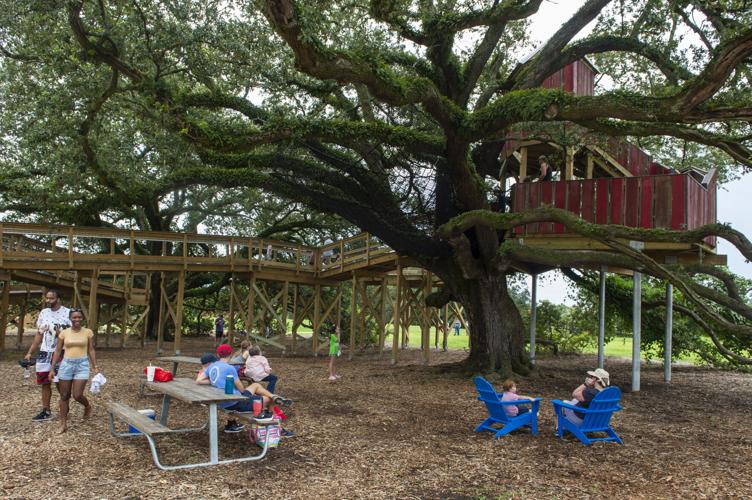 Lafayette's Moncus Park started as a UL research farm | 200 for 200 ...