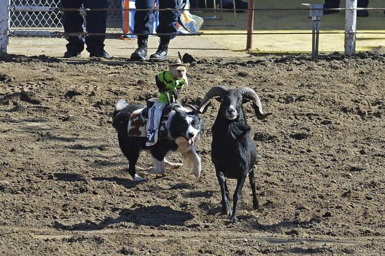 Photos: Angola Prison Rodeo Celebrates 50th Anniversary | News ...
