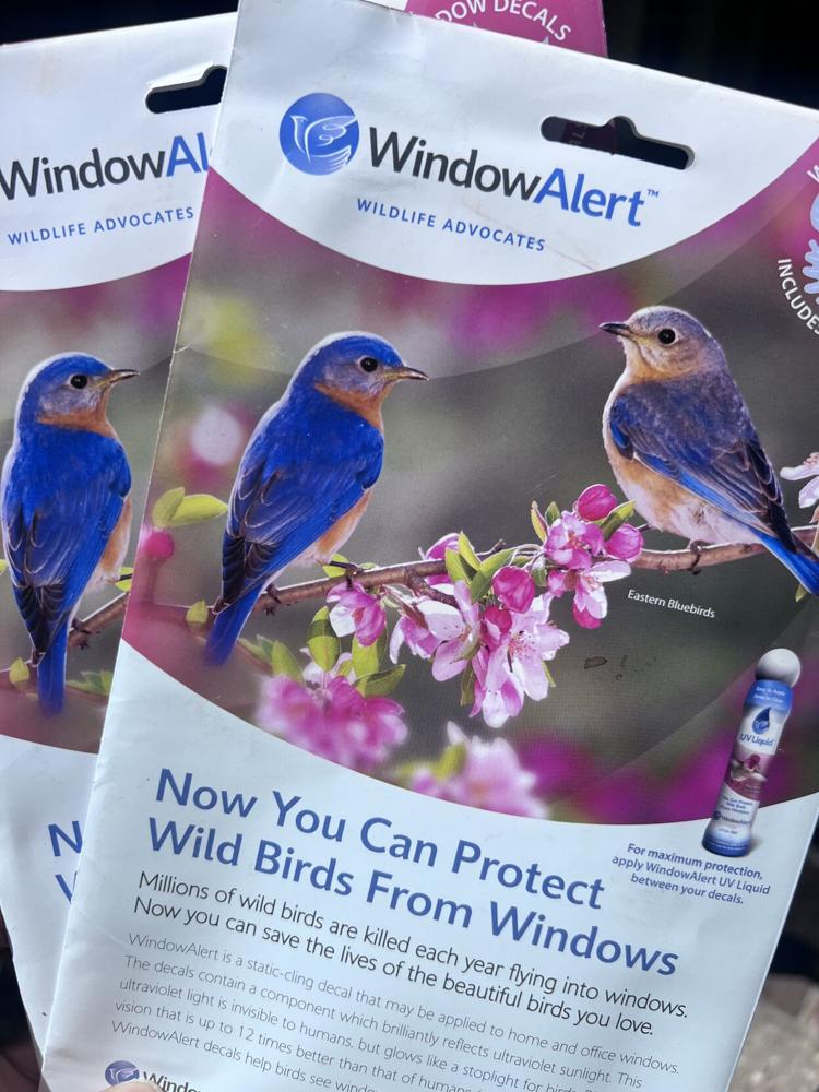 'Lights Out' in Louisiana to save migrating birds | Home/Garden ...