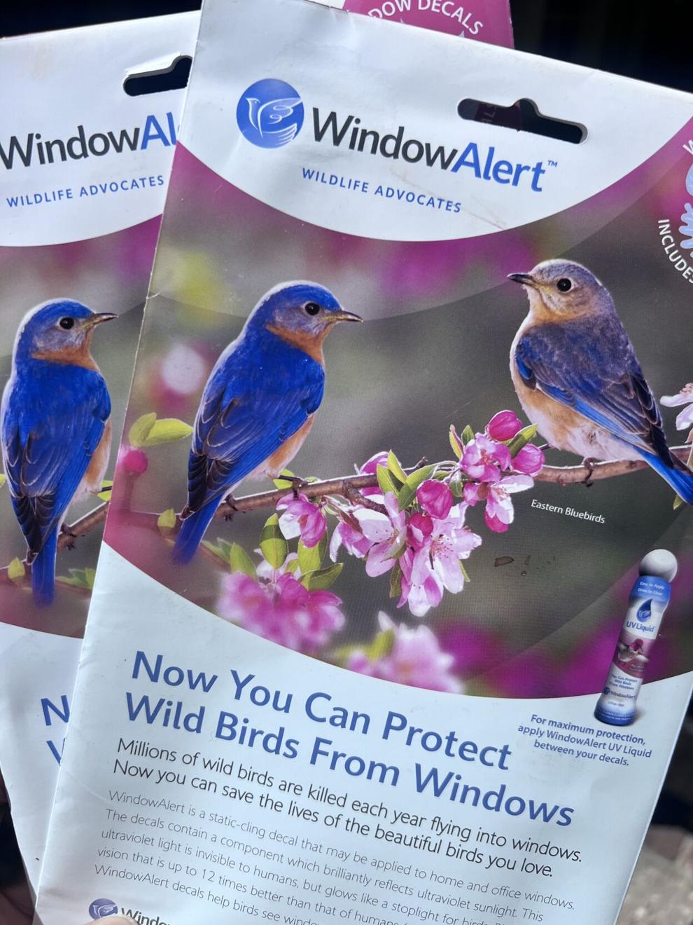 'Lights Out' in Louisiana to save migrating birds | Home/Garden | theadvocate.com