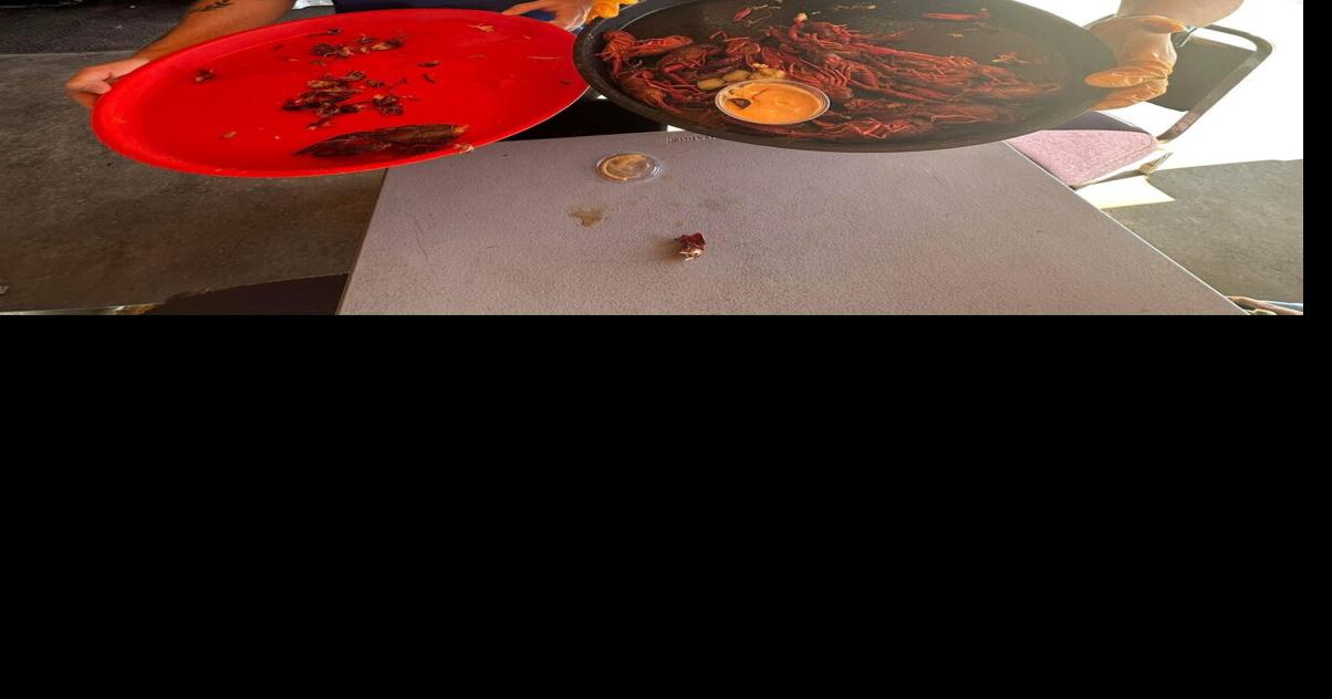 Josh and Jase from England visit Lafayette, LA | Entertainment/Life ...