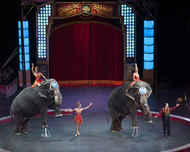 Circus animal trainer talks about life with her four-legged family ...