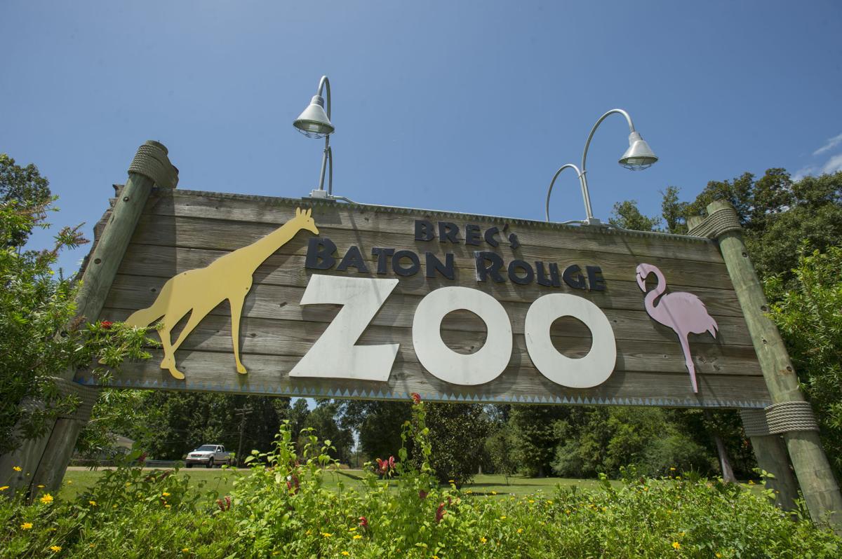 BREC sued after bird bites toddler at Baton Rouge Zoo | News ...
