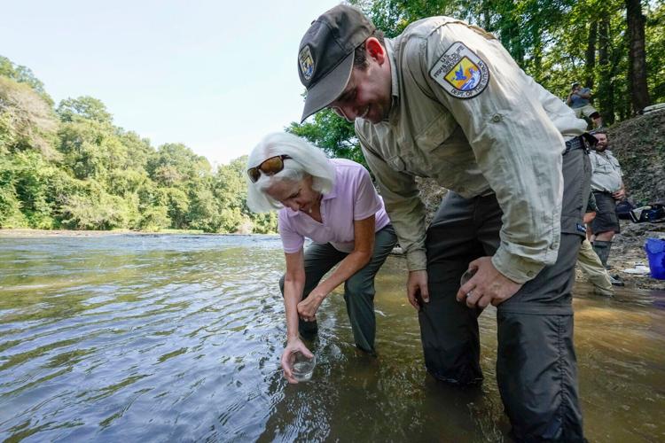 After 50 years, a tiny fish is reintroduced to the river | News ...