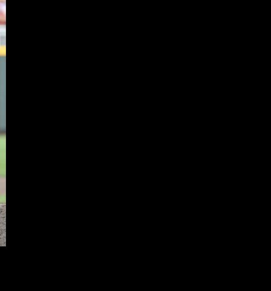 LSU's Kade Anderson ready to make history in MLB Draft | News ...