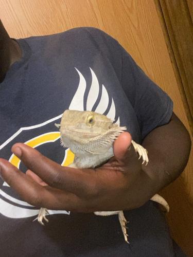 Carencro offensive lineman leader in school and amphibians | High ...