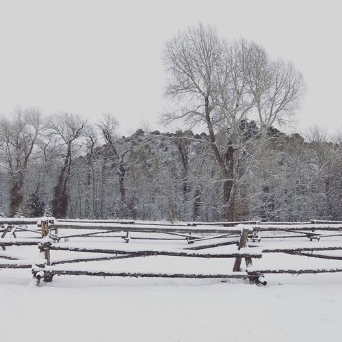 Jan Risher: Learning to let go and appreciate the ephemeral ...