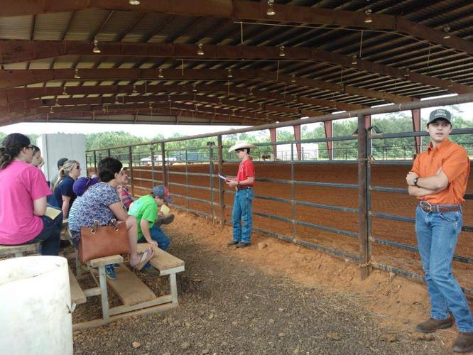 East Feliciana 4-H members get course on showing livestock | East ...