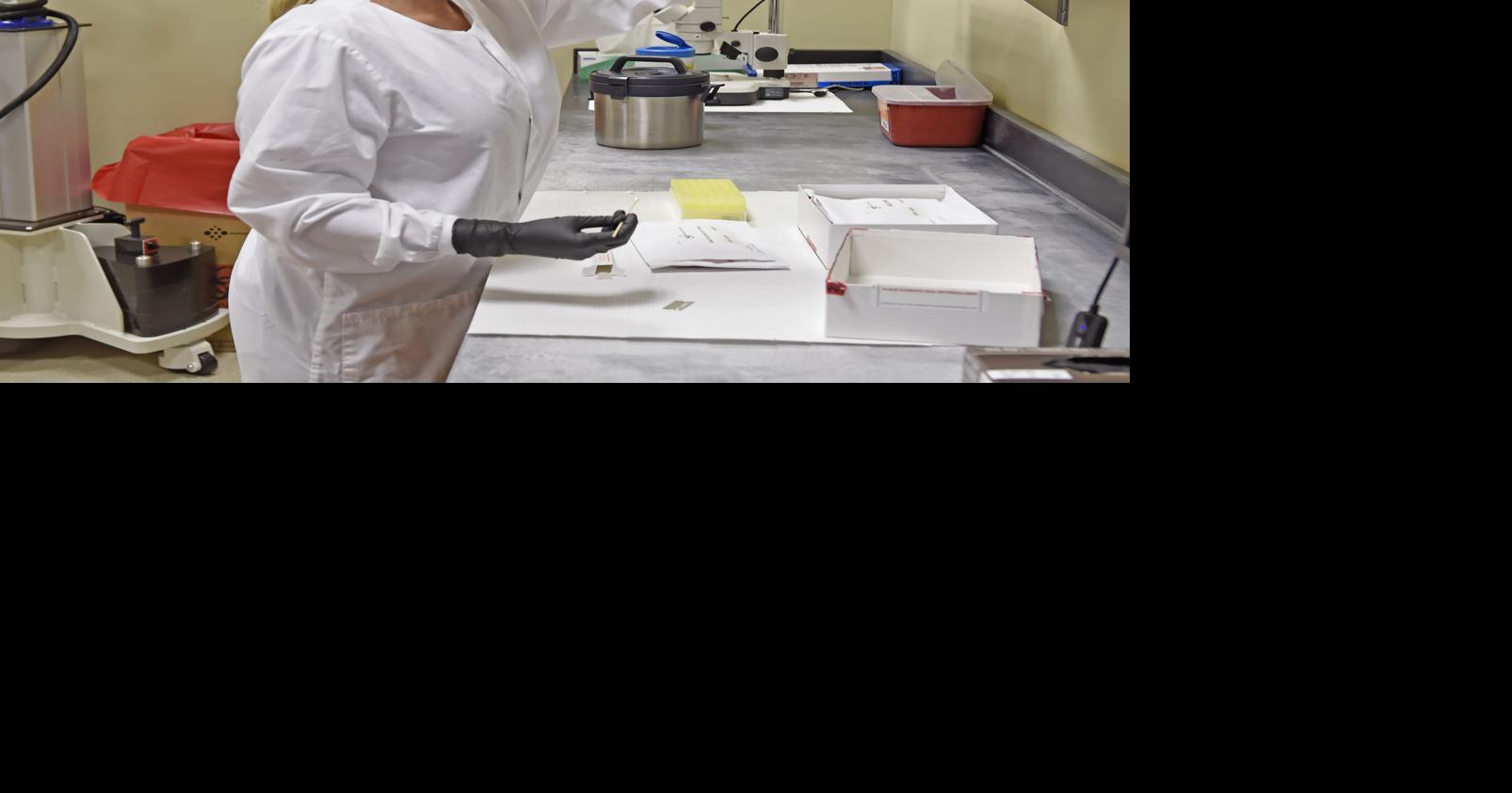 State Police Crime Lab eyes familial DNA searching, a controversial ...