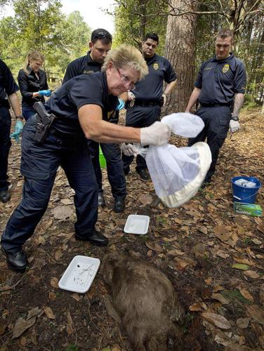 Hammond police officers, some a little squeamish, learn how to use ...