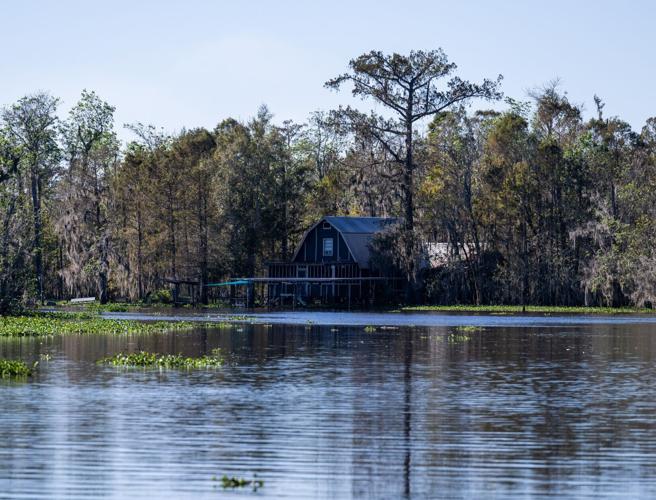 Dying Louisiana swamp to be revived with unique project | Environment | theadvocate.com