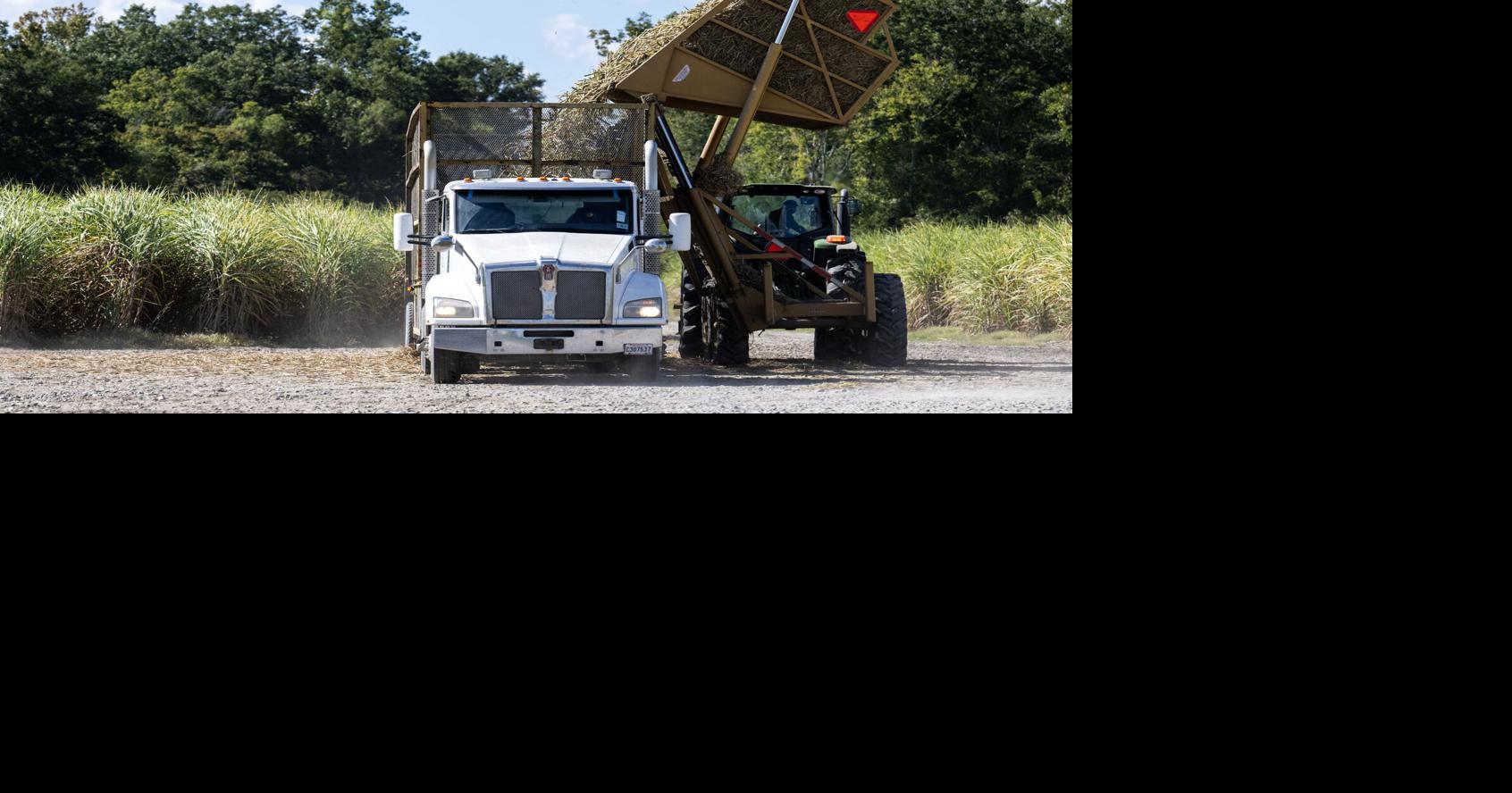 Inside a Louisiana sugar cane mill by the numbers | Baton Rouge ...