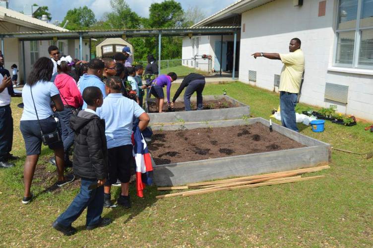 Growing students Volunteers help St. Helena Arts and Technology Academy ...