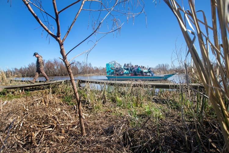 In marsh's muck, Louisiana’s past and future collide | Environment ...