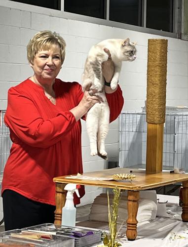 Fancy cats were the stars at the 50th Cat Show at Lamar-Dixon ...