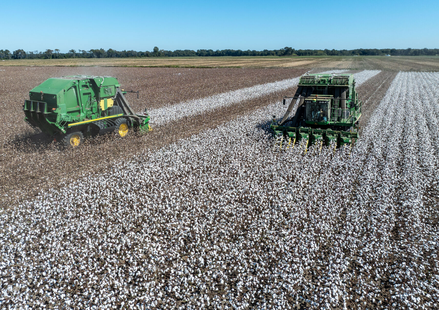 Photos: See the heart of Louisiana's cotton industry, once its go to ...