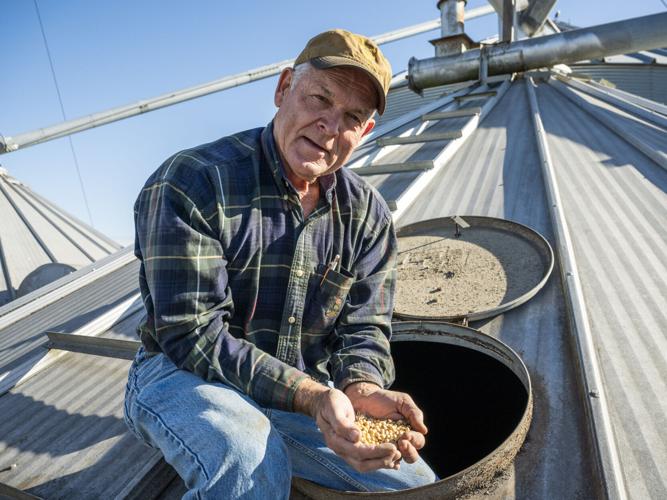 Louisiana farmers see $12 billion relief as a lifeline | State Politics ...