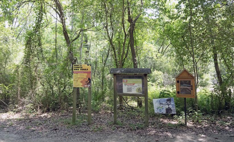 Baton River river gauges were casualty of budget cuts | Business ...