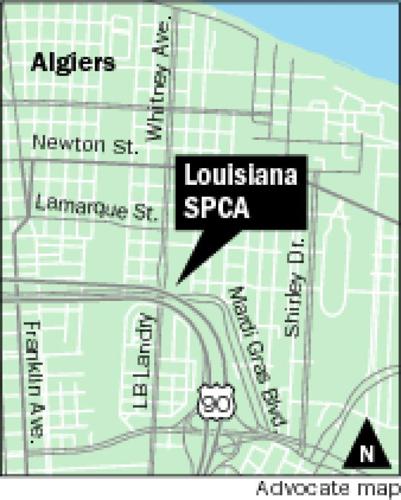 New Louisiana SPCA veterinary office to open this May after 7 year wait ...