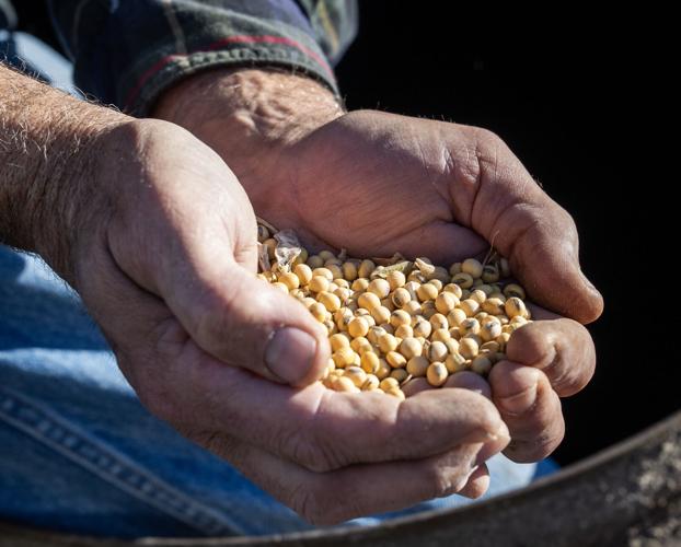 Louisiana farmers see $12 billion relief as a lifeline | State Politics ...