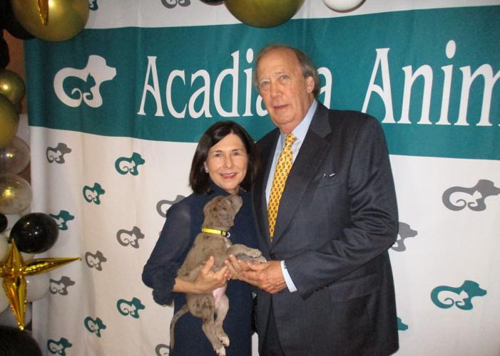 Acadiana Animal Aid celebrates 50 years at Bark in the Dark Gala ...