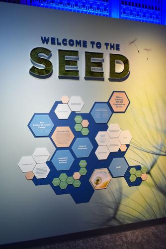 LASM will unveil 'The Seed' exhibit on Saturday | Entertainment/Life ...