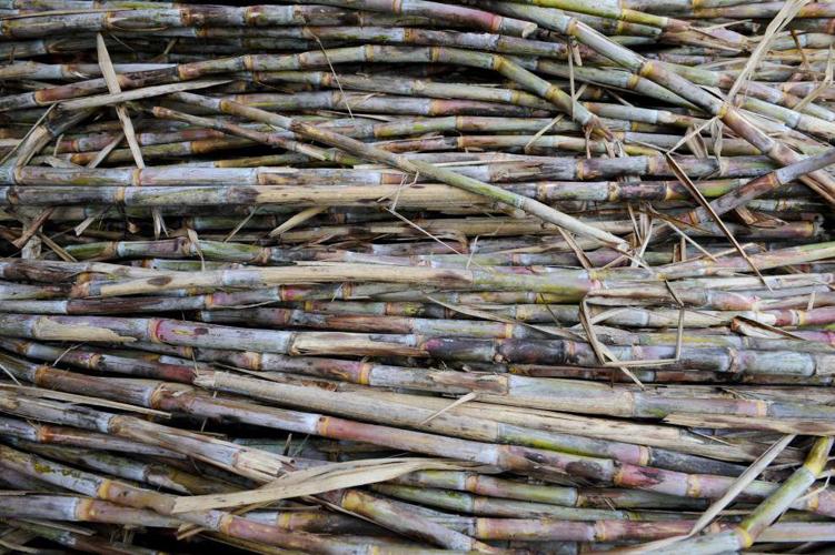 Syrup with soul: how old family recipe from Louisiana cane country ...