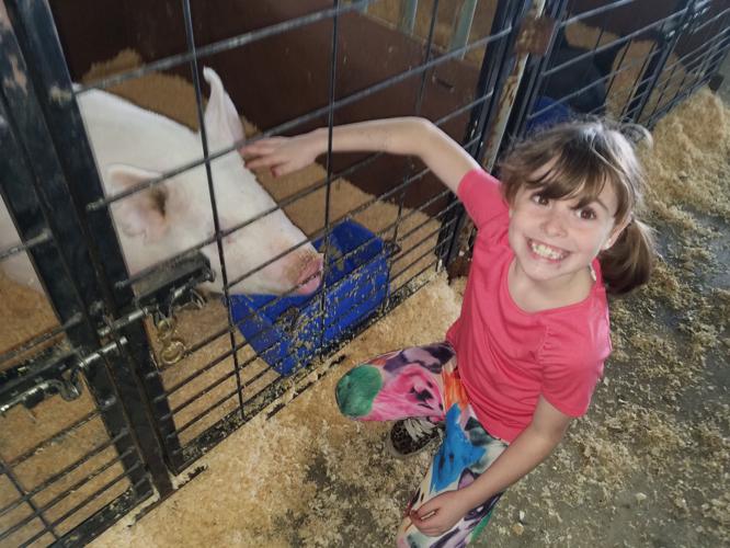 Future farmers, 4-H'ers find fun, friendship at parish livestock show ...