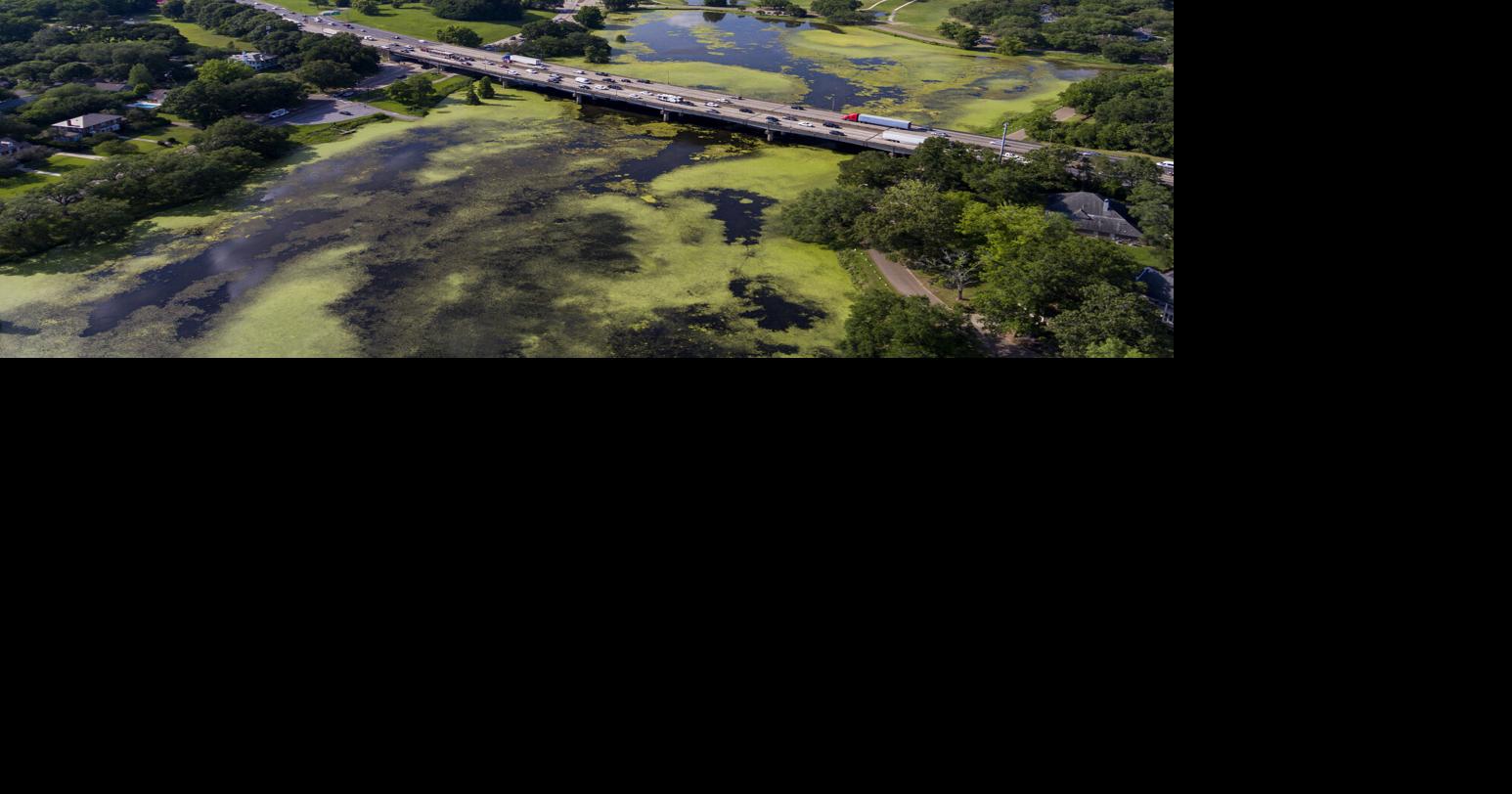 BREC creates committee to guide Lakes, City Park master plan ...