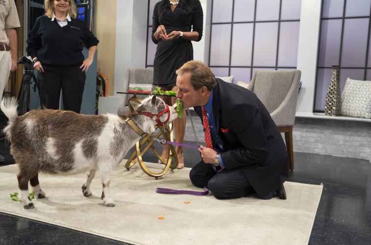 Photos: We'll miss you, Mike! Scenes from Hoss' last day at WWL-TV | Photos | theadvocate.com