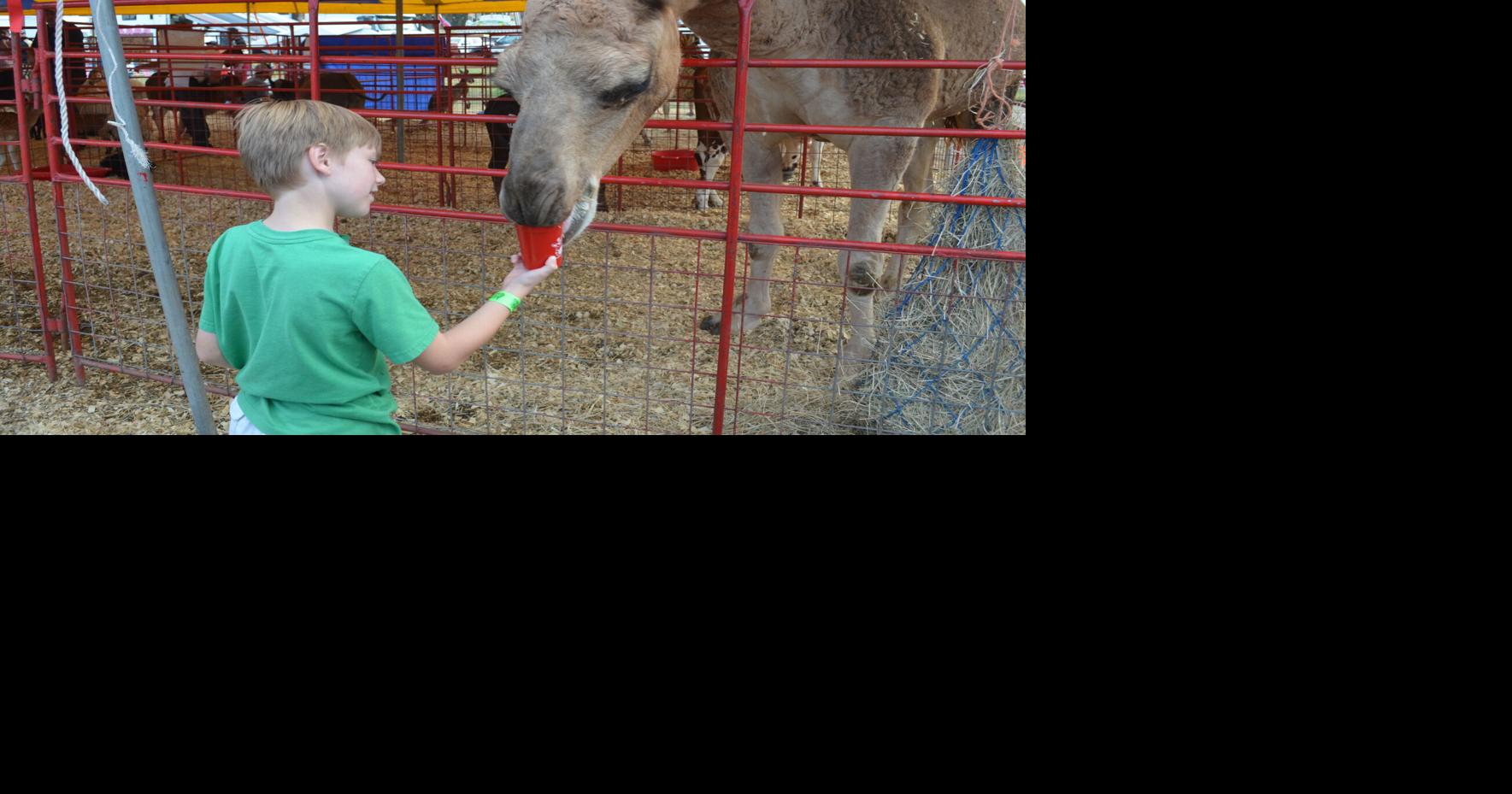 Greater Baton Rouge State Fair: contests, music and more ...