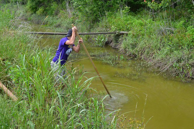 14 fascinating crawfish facts | Louisiana Outdoors | theadvocate.com