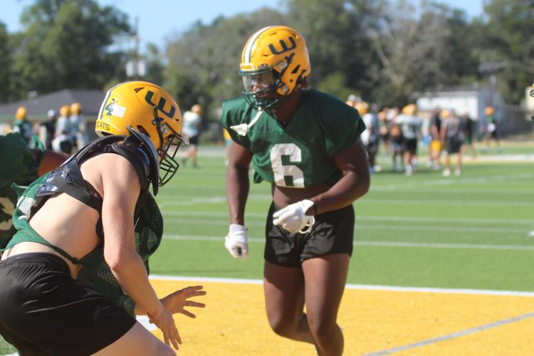 Versatile Donte Flowers sets tone for Walker High defense | High School ...