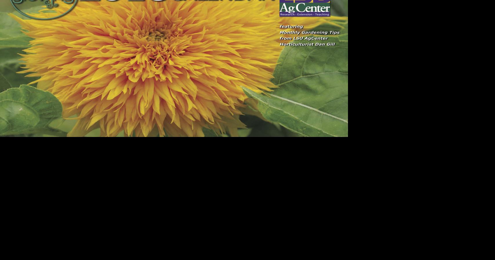Garden News: Get It Growing calendar makes sure you get timing right ...