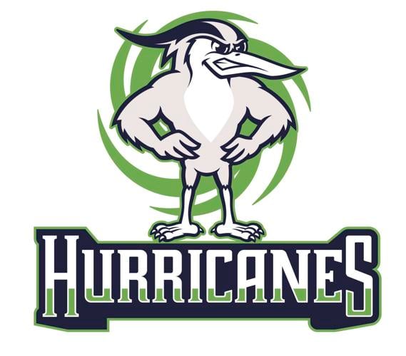 Gumbo the Great Blue Heron is the new gameday character for ...