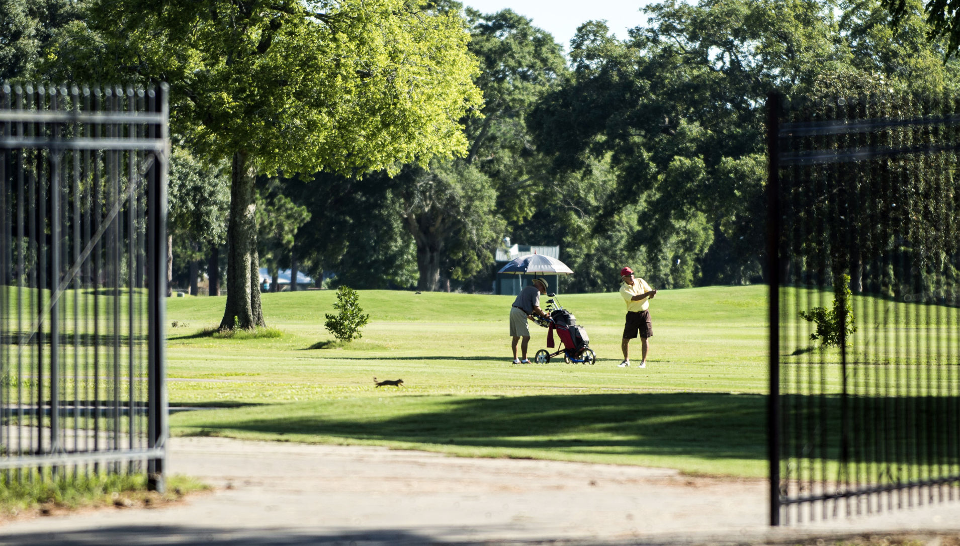 Lafayette rolls out 25% weekday golf discount for veterans at all three ...