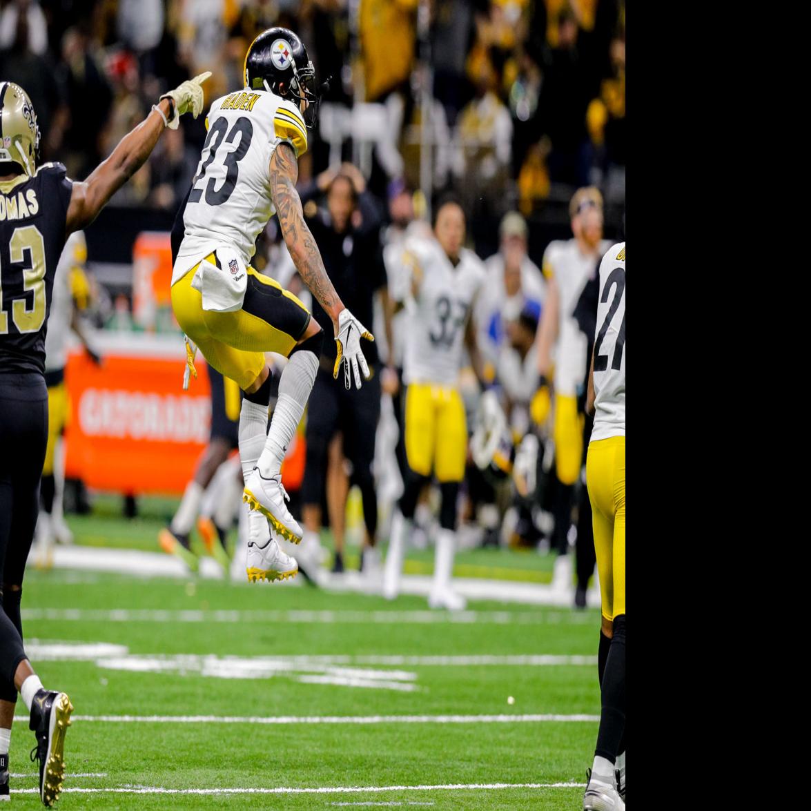 joe haden interception