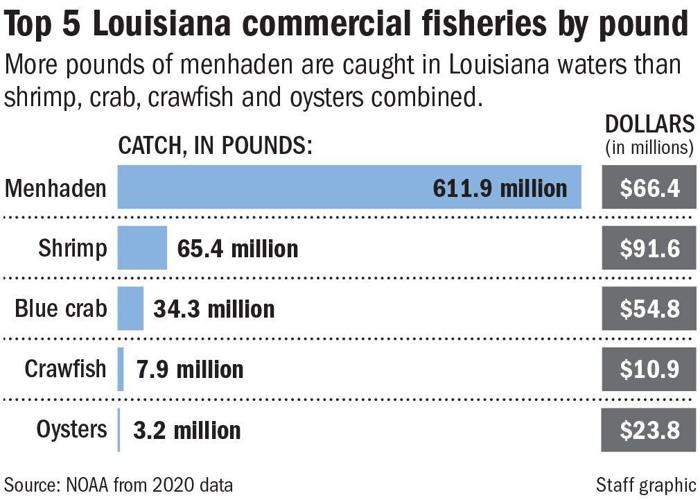 Pogy boats dumped 850,000 fish off Louisiana coast | Environment ...