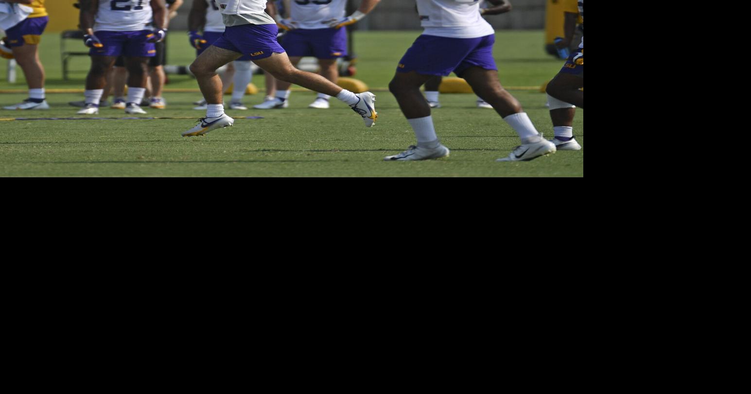 Rabalais: LSU's preseason rankings reflect concerns and respect for a ...