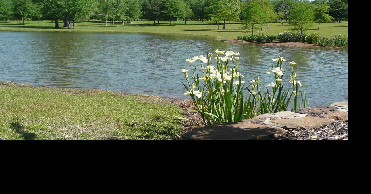 LSU AgCenter News: Use smart landscaping practices | Home/Garden ...