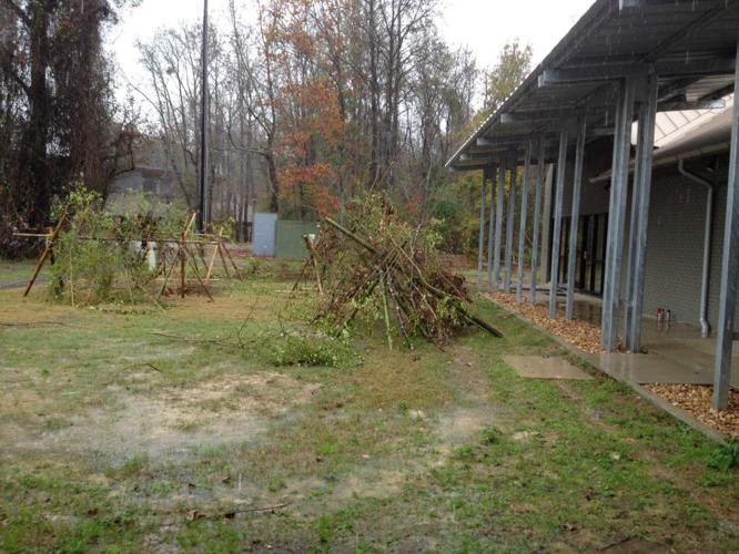 Bluebonnet Swamp Nature Center hosts holiday camp | Southeast ...