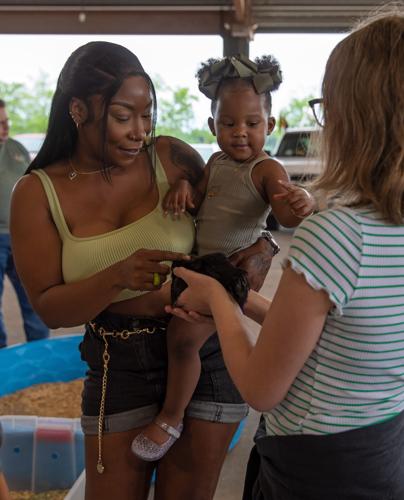 Everything crawfish highlight Dream Come True South Louisiana Crawfish ...