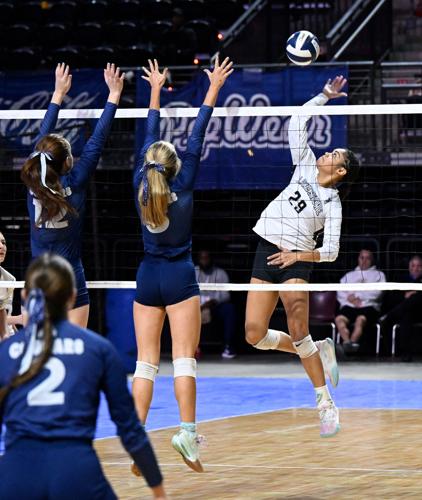 STM sweeps Lakeshore to advance to Division II finals | High Schools ...