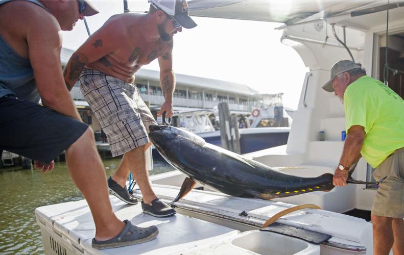 Photos: 2017 Grand Isle Tarpon Rodeo attracts big smiles and big fish ...