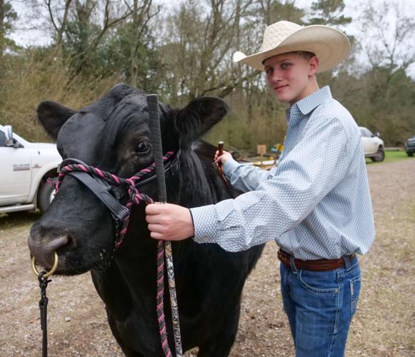 Living with livestock: Feliciana students show farm efforts in annual ...